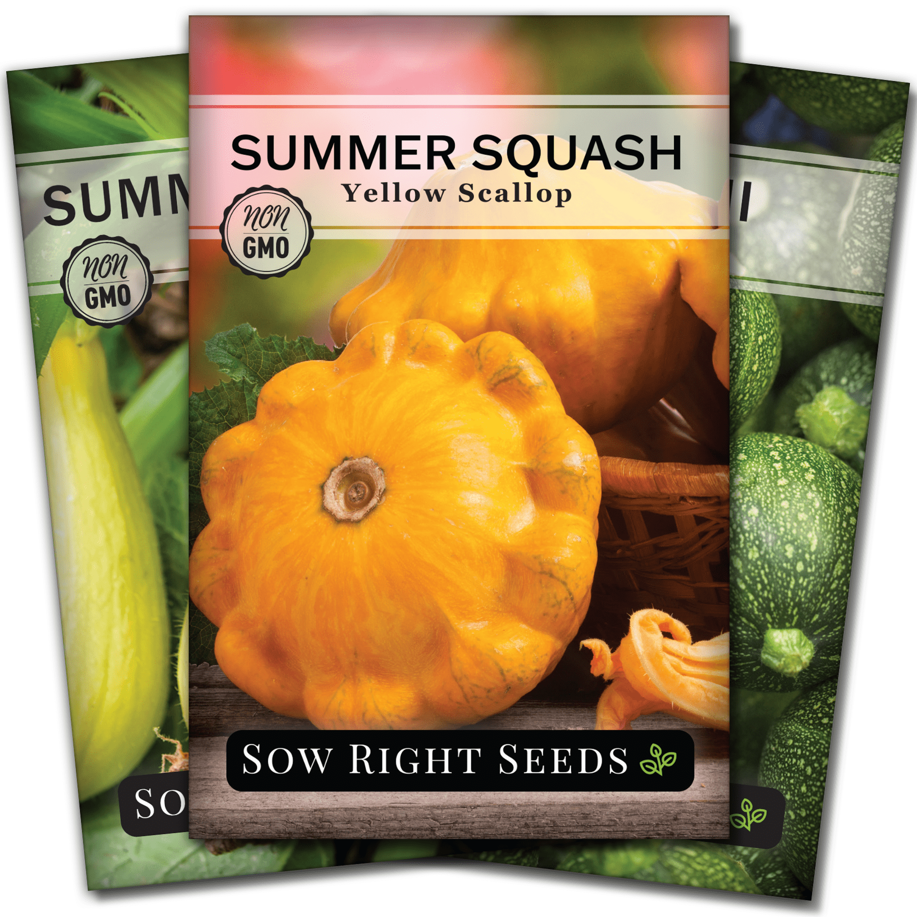 Summer Squash Seed Collection - Non GMO Heirloom Varieties for your ...