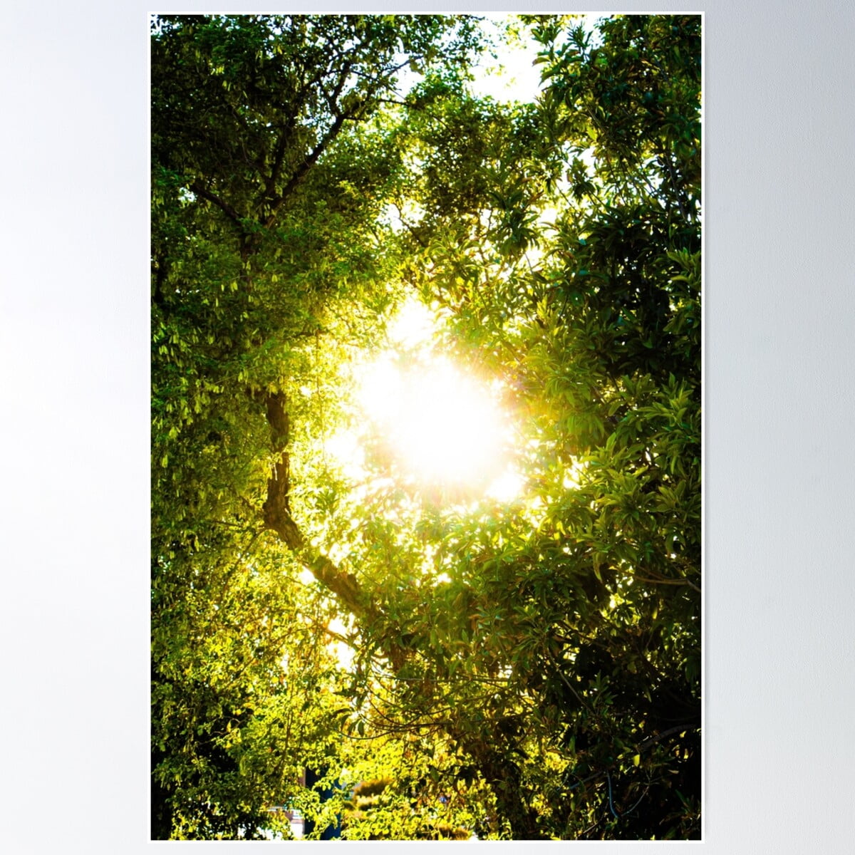 Summer Sun Beams Poster Wall Art, Modern Wall Decor For Living Room ...