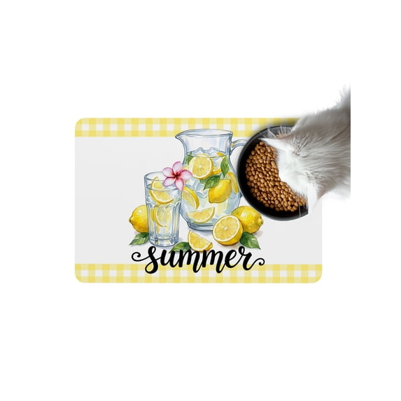 Summer Theme Doormat Non Slip Diatomaceous Earth Door Mat Absorbent ...