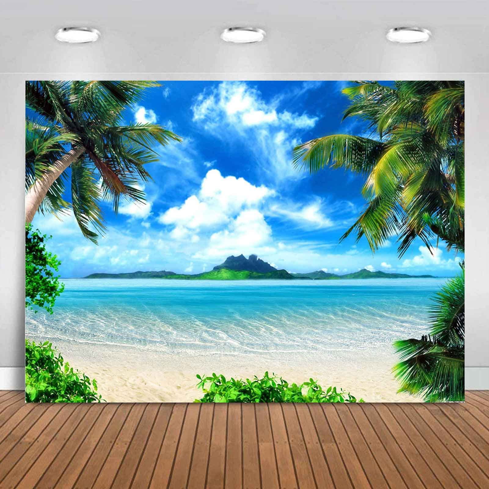 Summer Theme Photo Ocean SSF20 Blue Sky Seaside Tropical Palm Trees ...