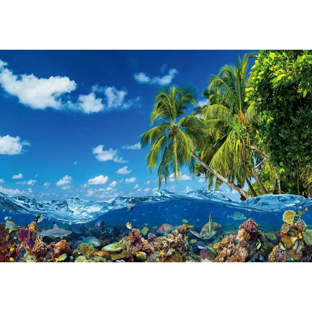 Summer Tropical Blue Sea Sky Ocean Fishes Coral Plants Plam Tree Forest ...