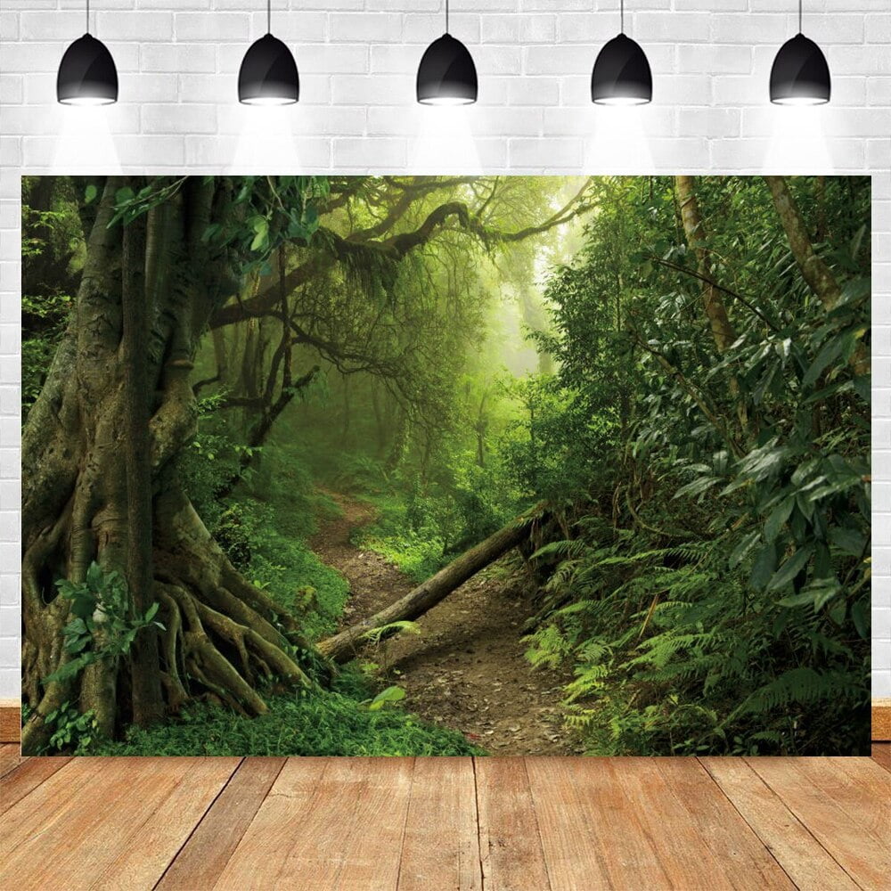 Summer Tropical Jungle Forest Spring Backdrop For Photography Palm Tree ...