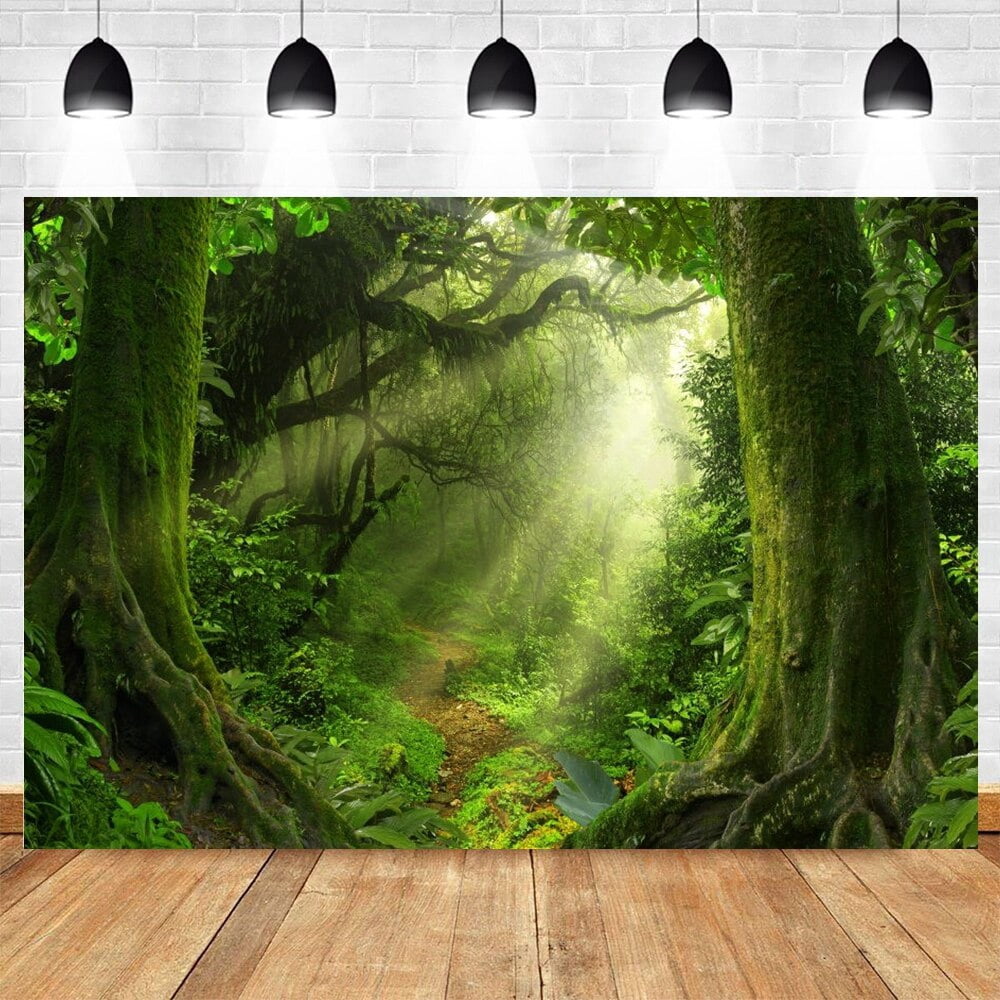 Summer Tropical Jungle Forest Spring Backdrop For Photography Palm Tree ...