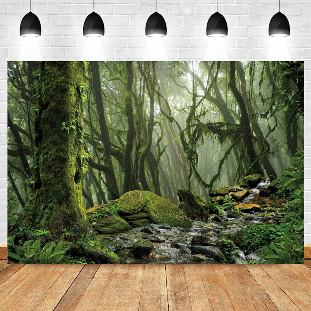 Summer Tropical Jungle Forest Spring Backdrop For Photography Palm Tree ...