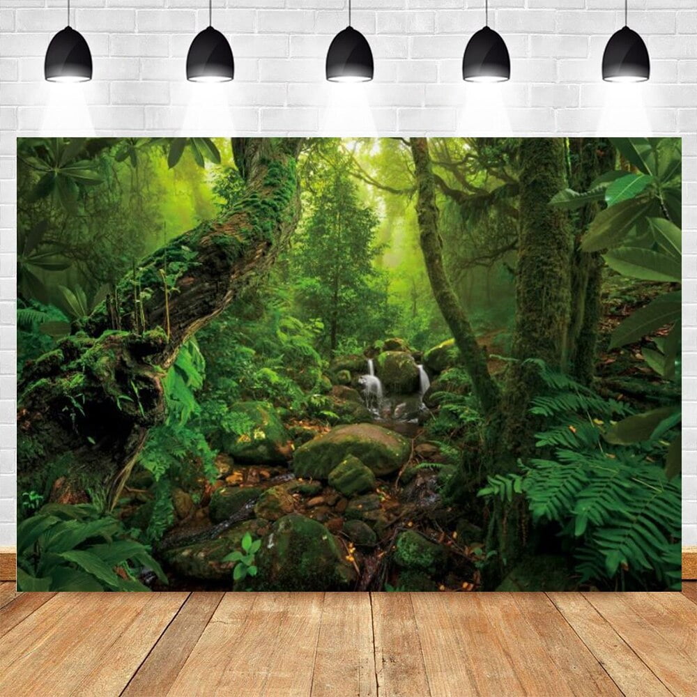 Summer Tropical Jungle Forest Spring Backdrop For Photography Palm Tree ...