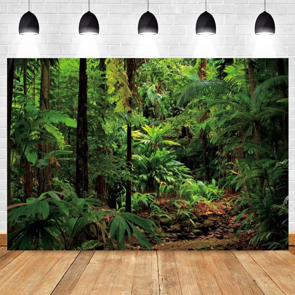 Summer Tropical Jungle Forest Spring Backdrop For Photography Palm Tree ...
