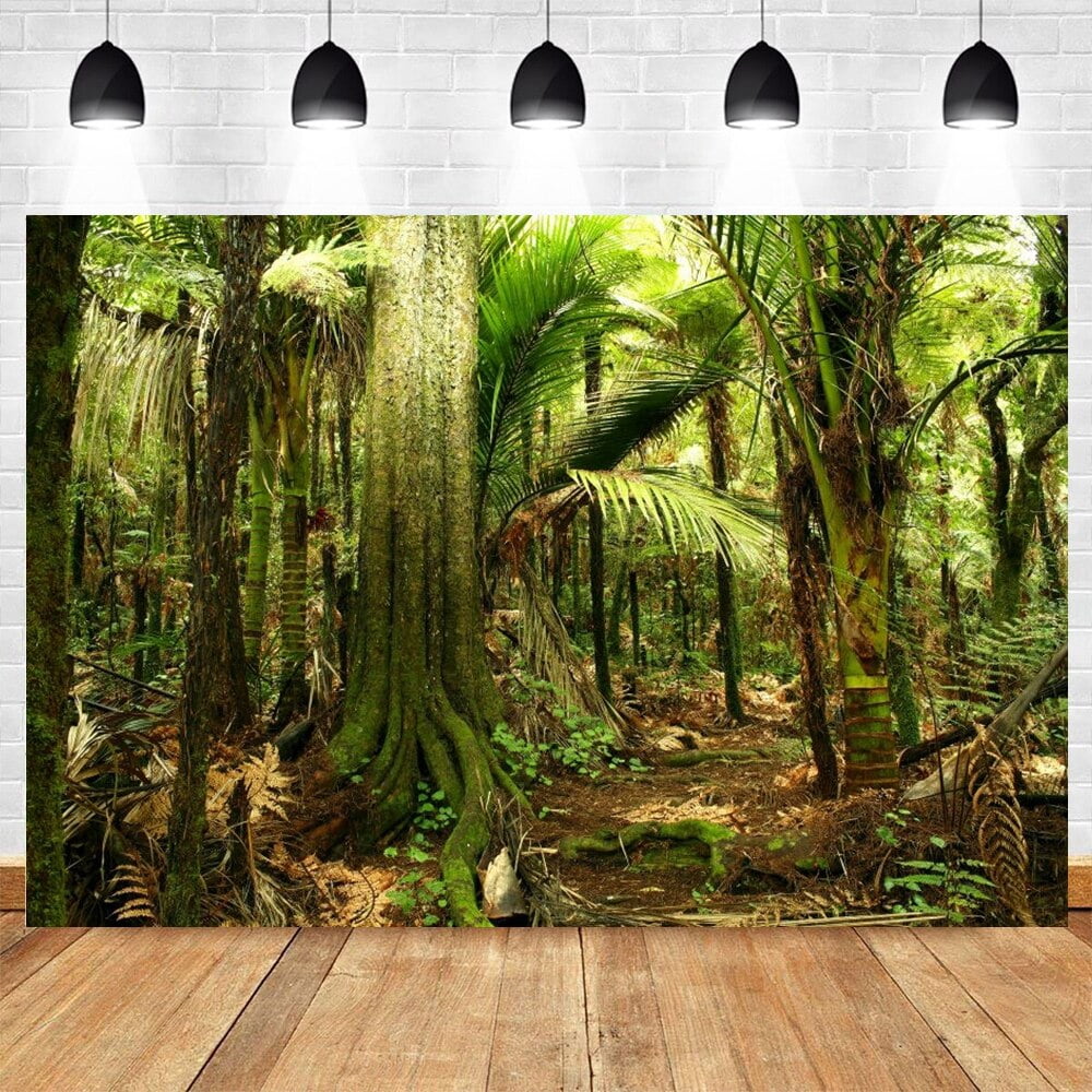 Summer Tropical Jungle Forest Spring Backdrop For Photography Palm Tree ...