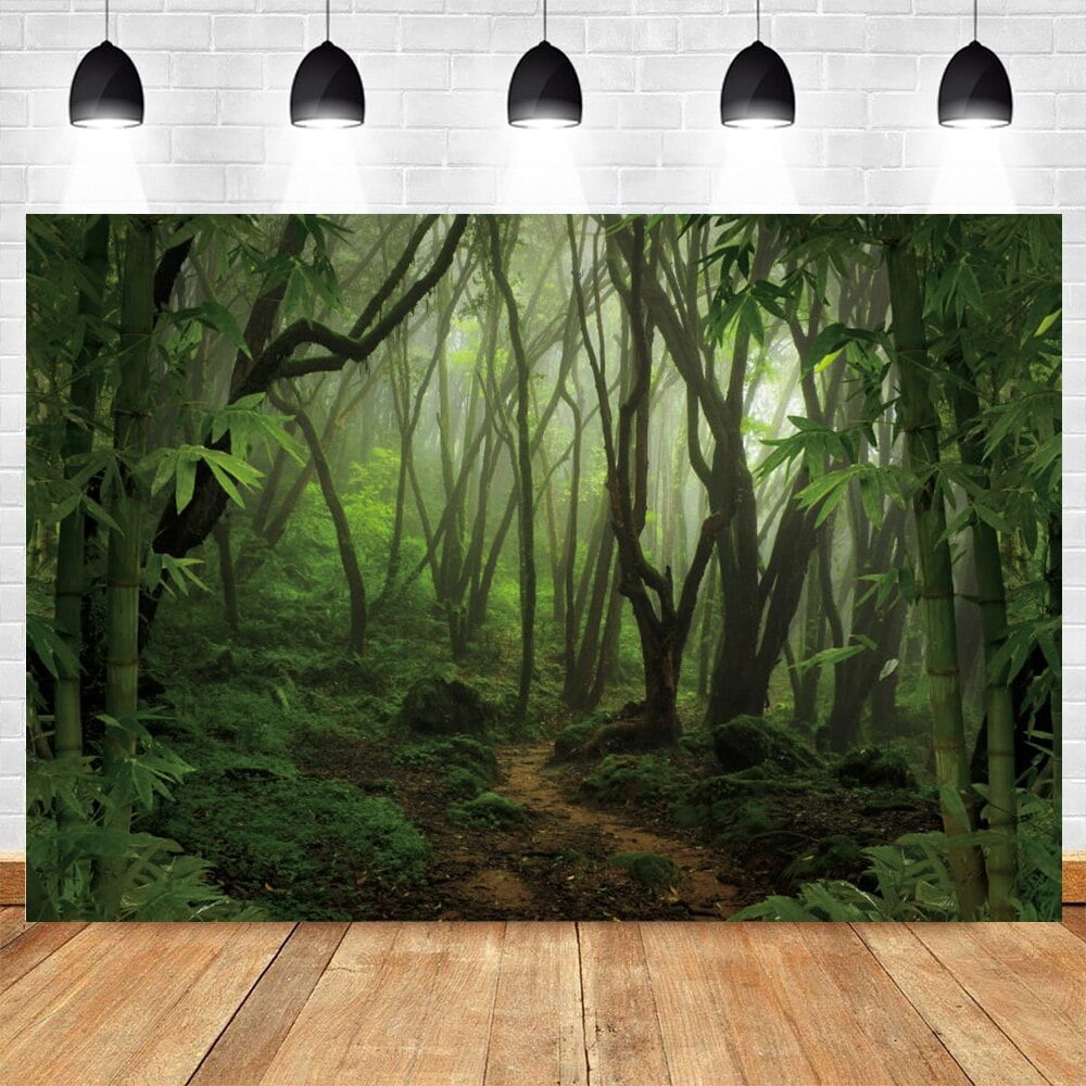 Summer Tropical Jungle Forest Spring Backdrop For Photography Palm Tree ...