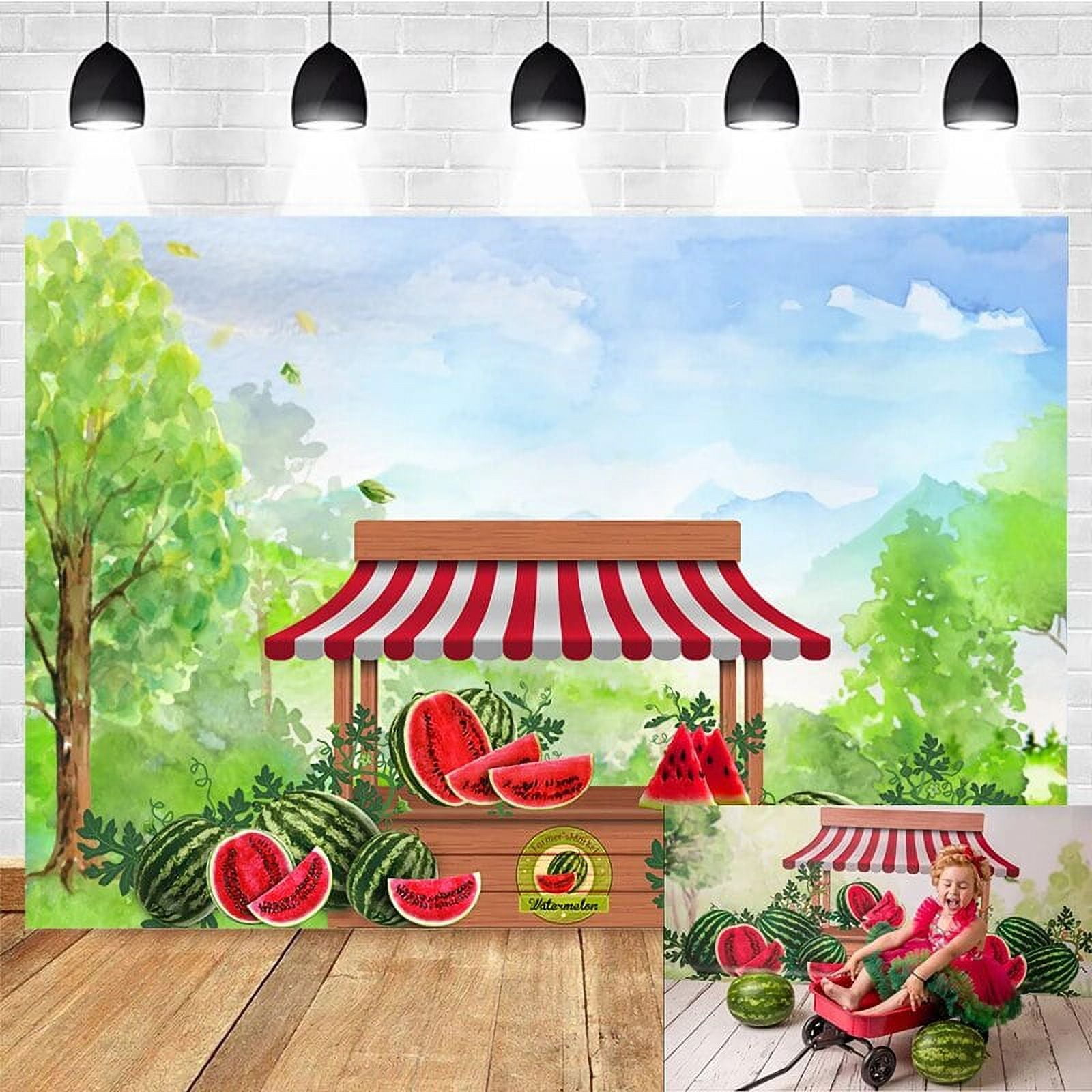 Summer Watermelon Stand Cake Smash Photography Backdrops Children First ...