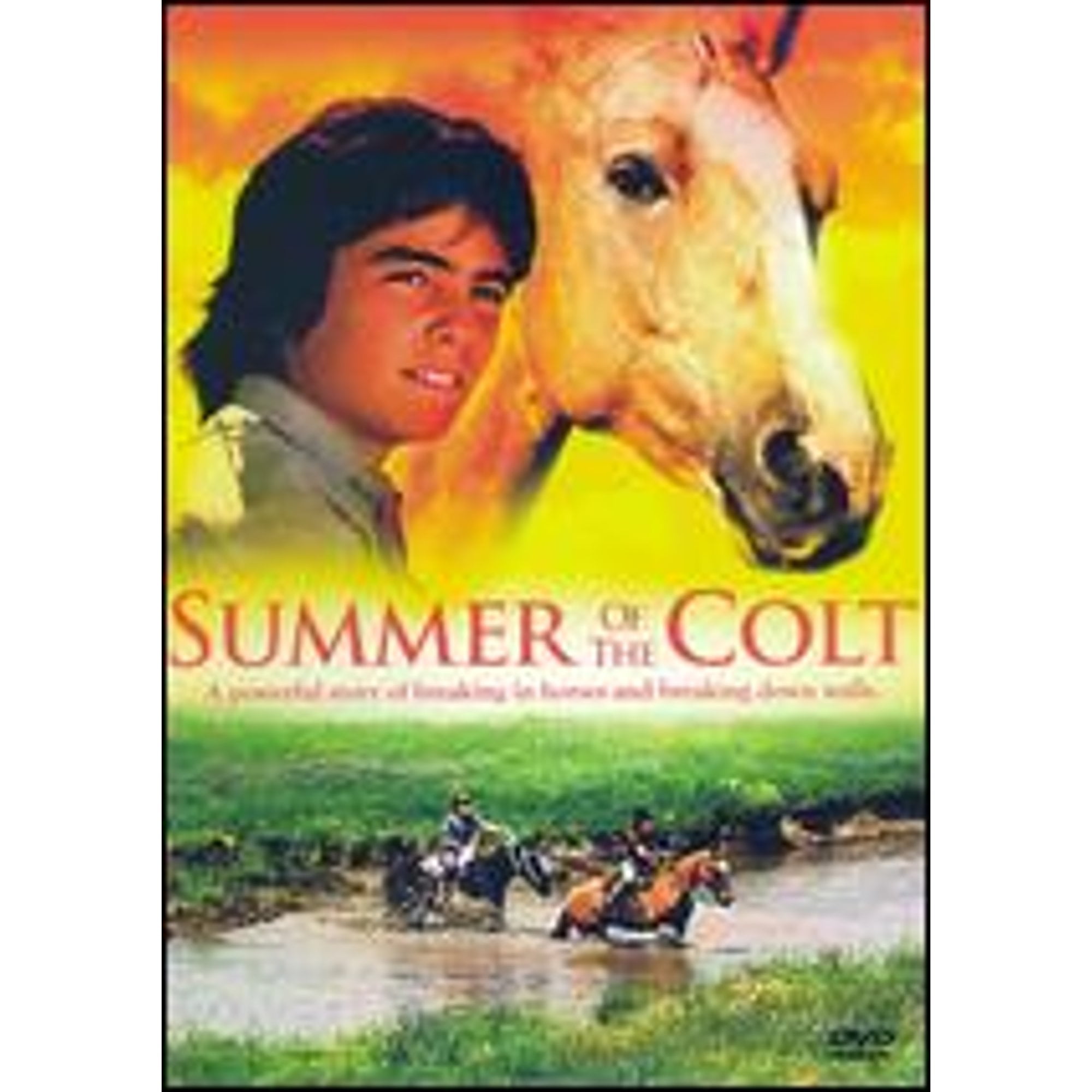 Pre-Owned Summer of the Colt (DVD 0084296404421) directed by Andre ...