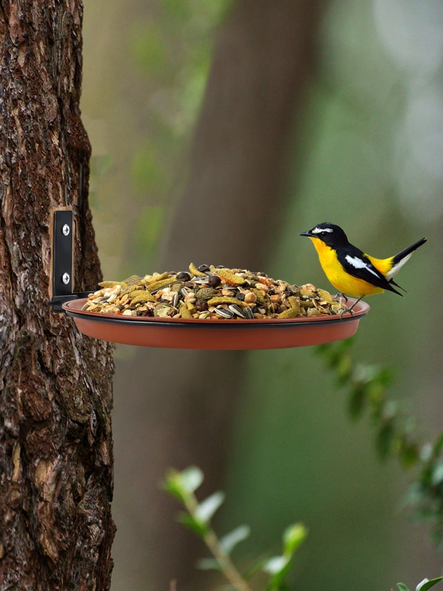 Ghojet 3Pcs Bird Trays Tree Mounted Bird Feeders Hanging Bird Seed Tray ...