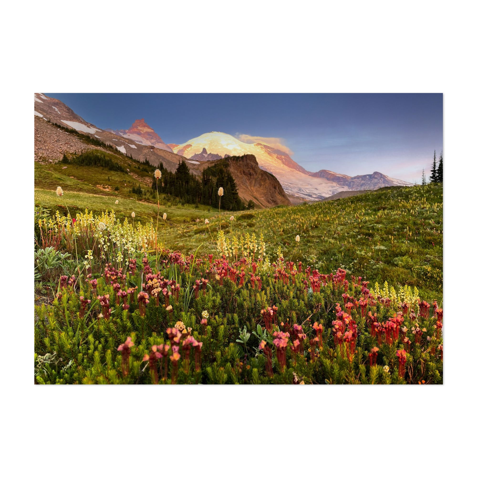 Summerland Sunrise, Mt. Rainier National Park - Washington Photography ...
