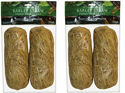 Summit 130 Clear-Water Barley Straw Bales, 2 Packs of 2-4 Total ...