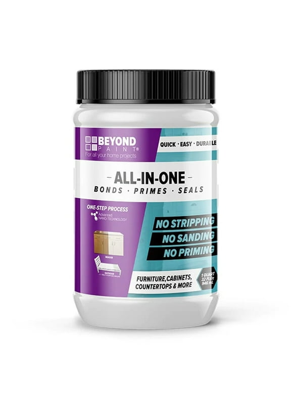 Beyond Paint in Featured Paint Brands - Walmart.com