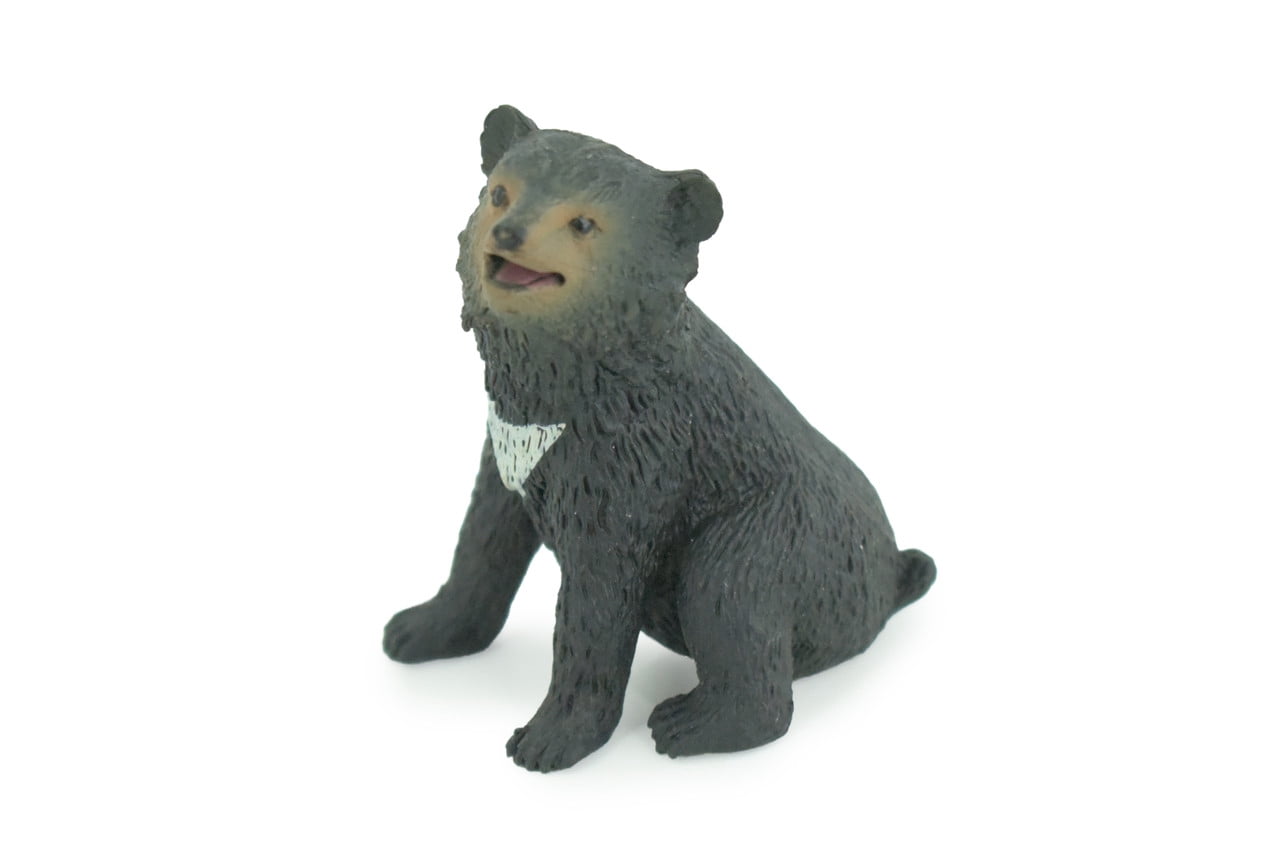Sun Bear Cub, Sitting, Museum Quality, Educational, Hand Painted ...