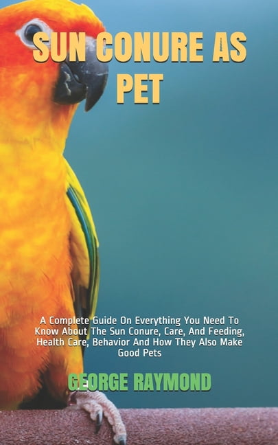 Sun Conure as Pet: A Complete Guide On Everything You Need To Know ...