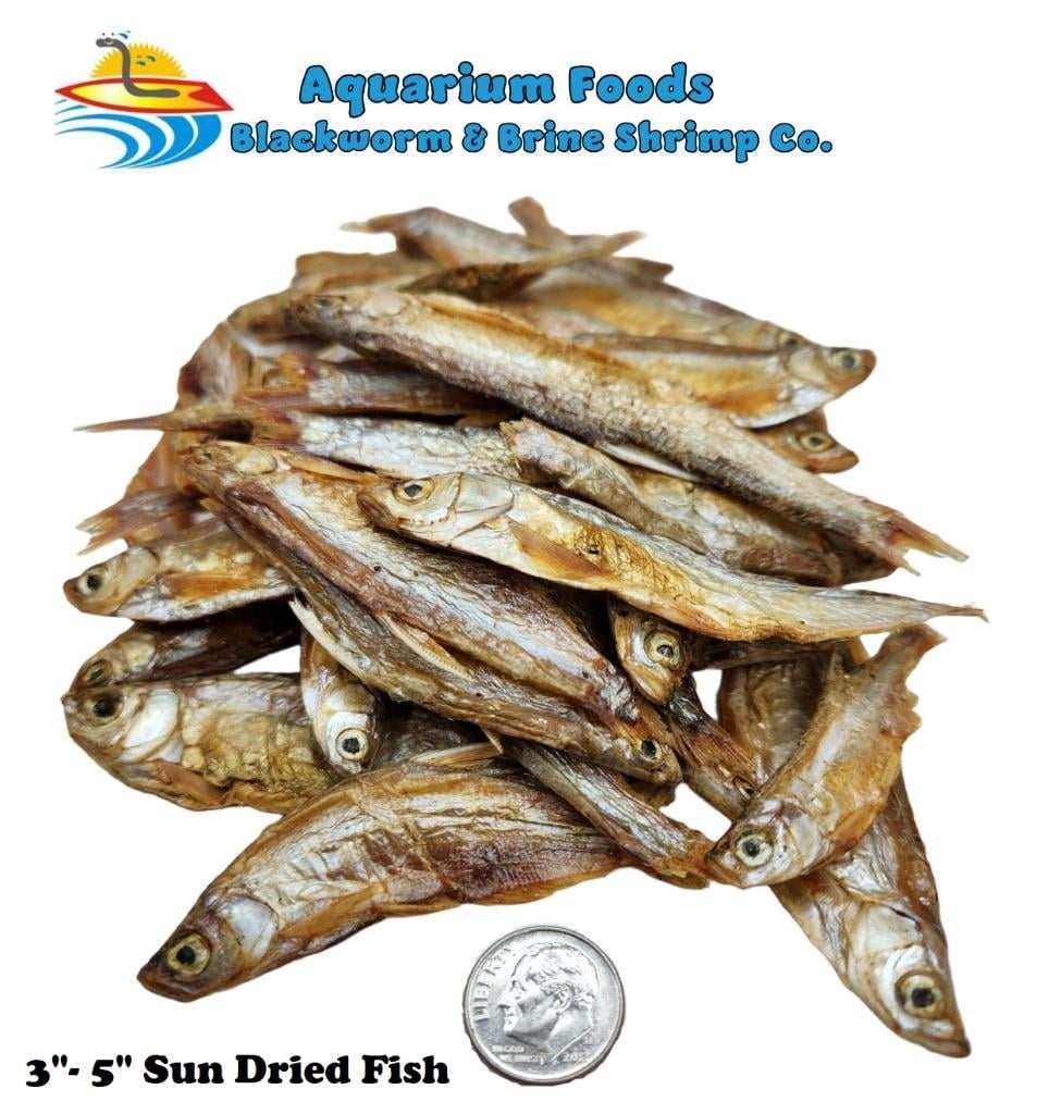 Sun Dried Fish 3”-5”- Tropical Fish, Marine Fish, Koi Fish, Turtles...1 ...