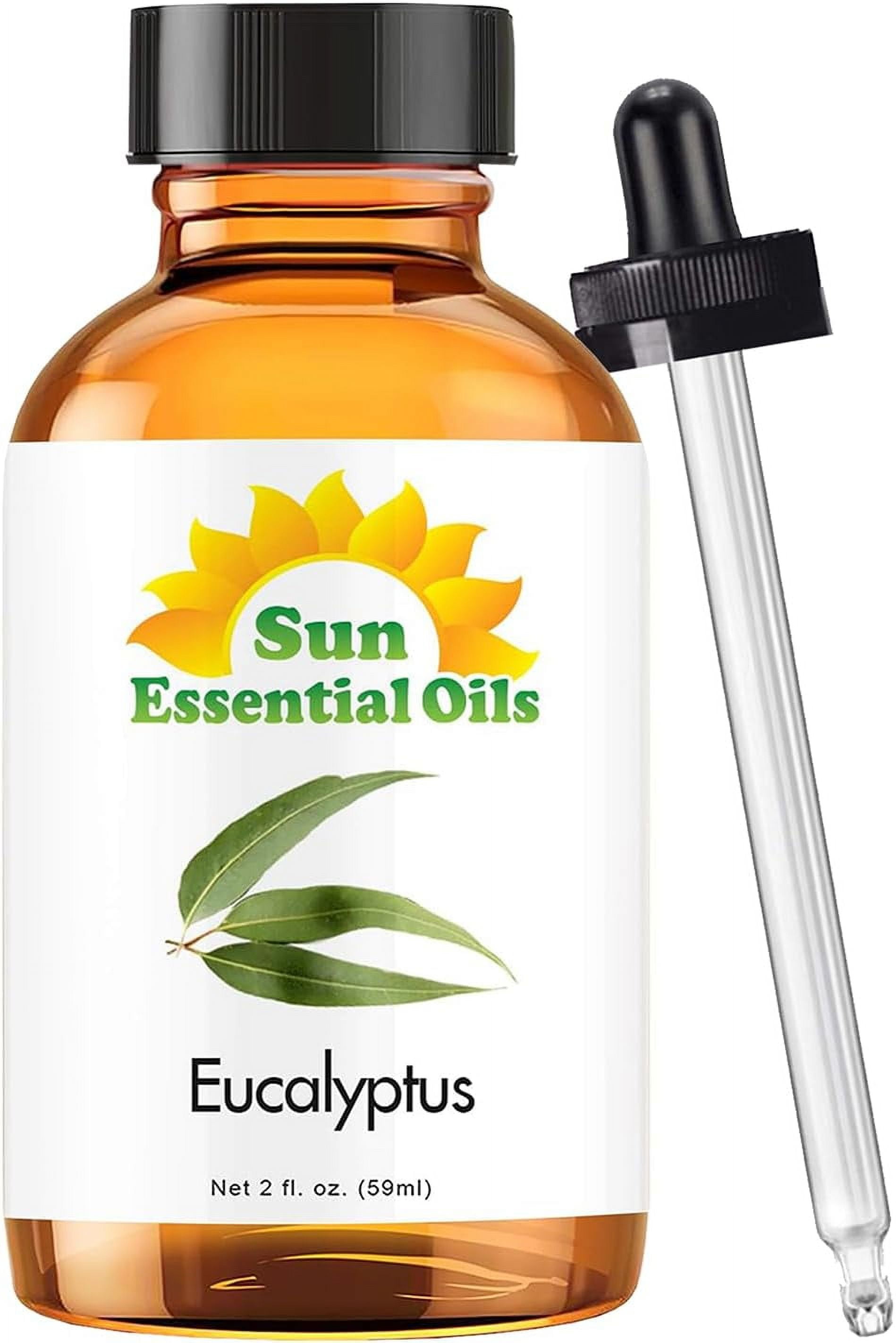 Sun Essential Oils - Pure Aromatherapy Eucalyptus Essential Oil - 2oz ...