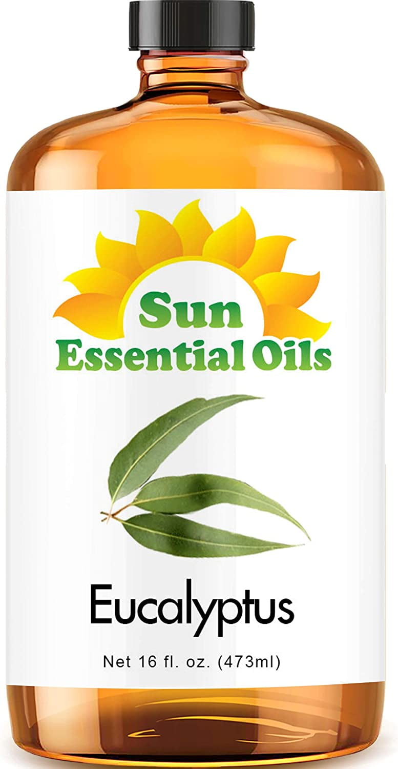 Sun Essential Oils - 16oz Eucalyptus Essential Oil for Aromatherapy ...