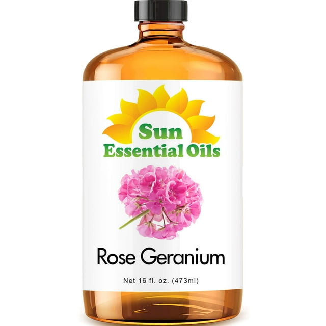 Sun Essential Oils - Rose Geranium Essential Oil 16oz for Aromatherapy ...