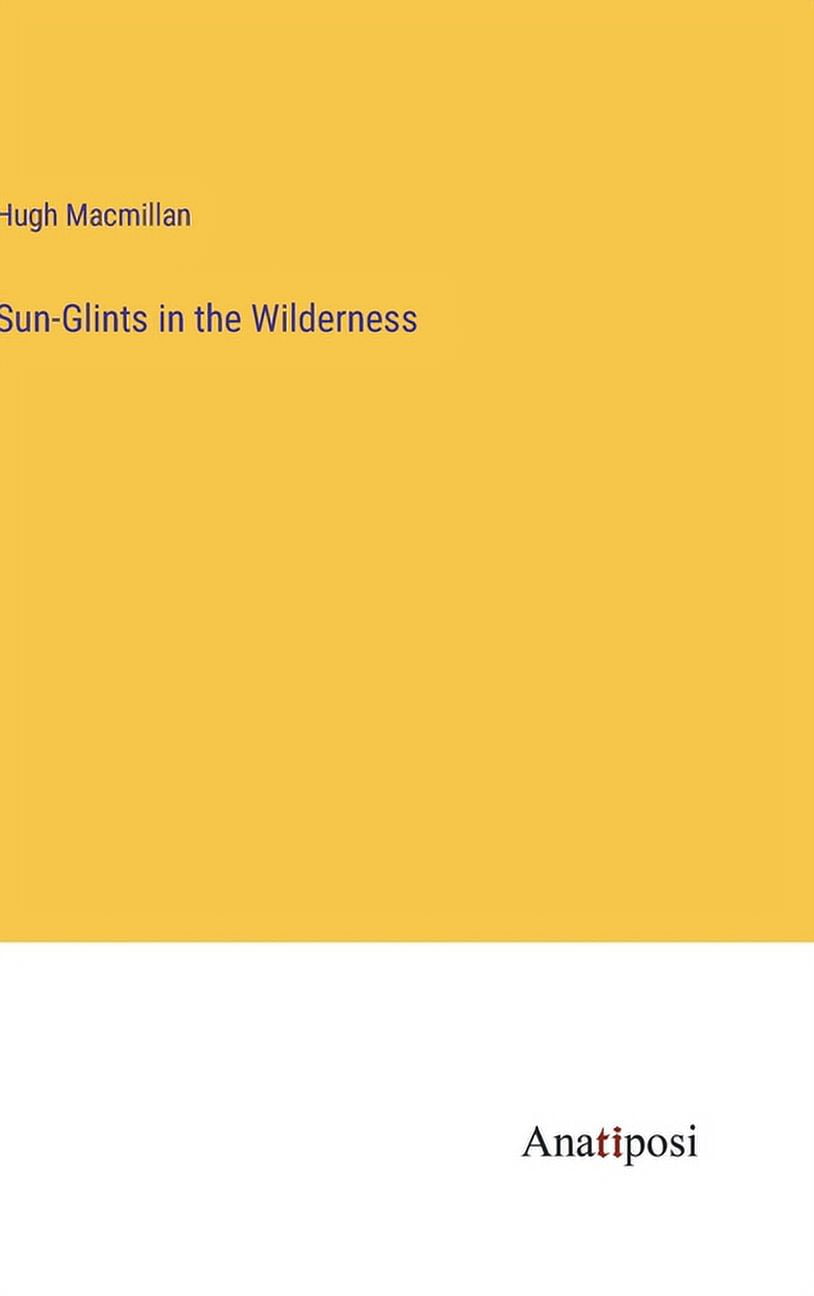 Sun-Glints in the Wilderness - Walmart.com