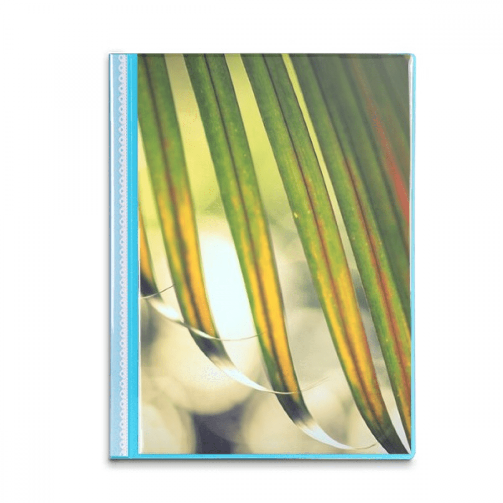 Sun Picture Nature Book Sheet Protectors Portfolio Binder Folder ...