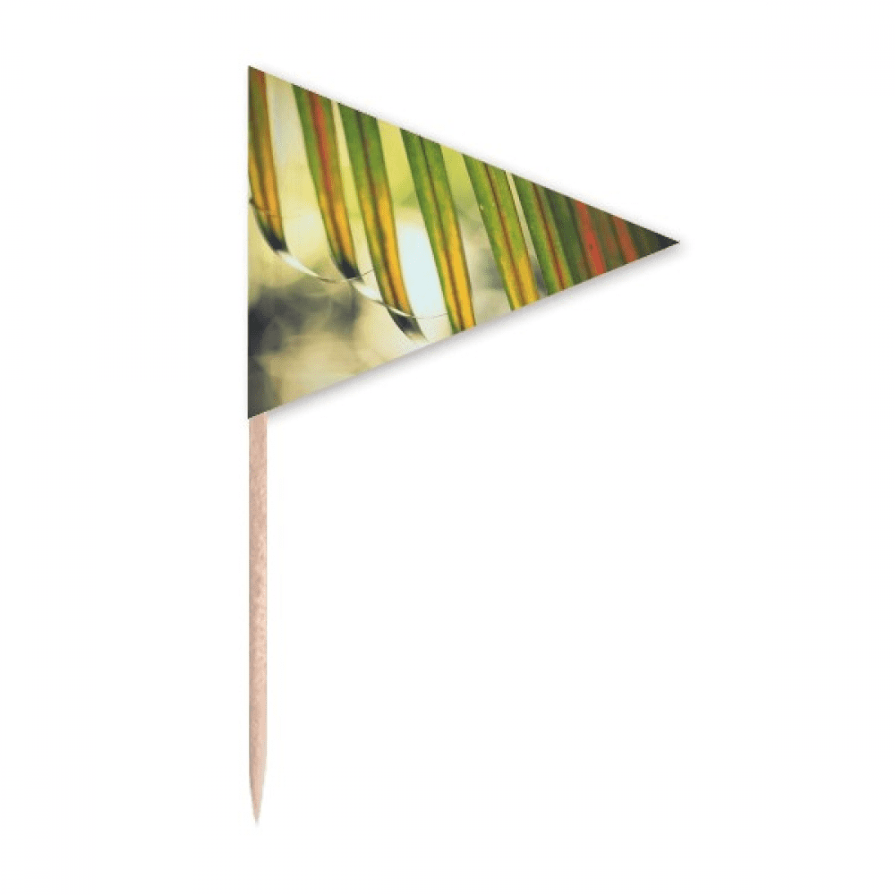 Sun Picture Nature Toothpick Triangle Cupcake Toppers Flag - Walmart.com