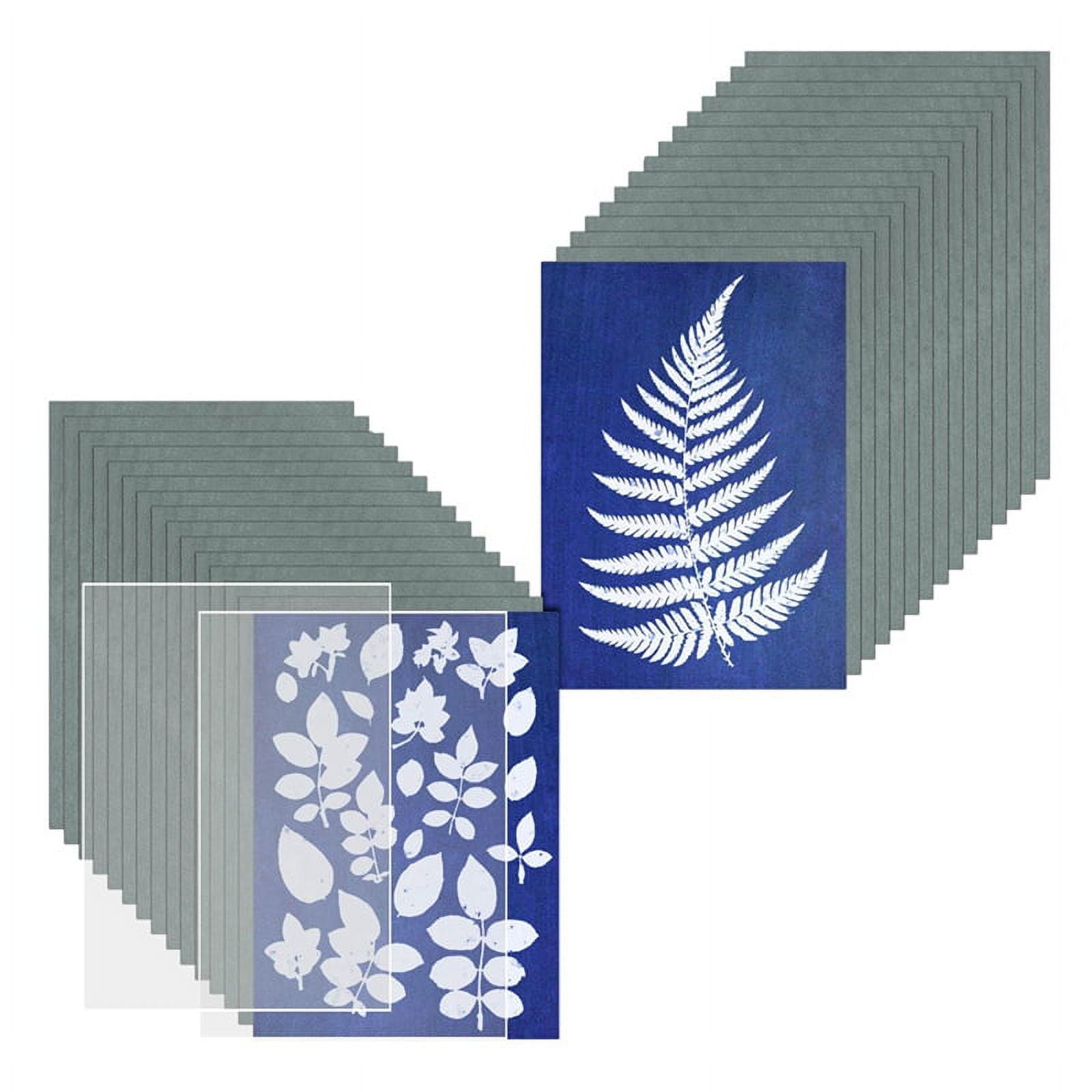 Sun Print Paper Kit,Cyanotype Paper,30 Sheets Cyanotype Paper with 2 ...