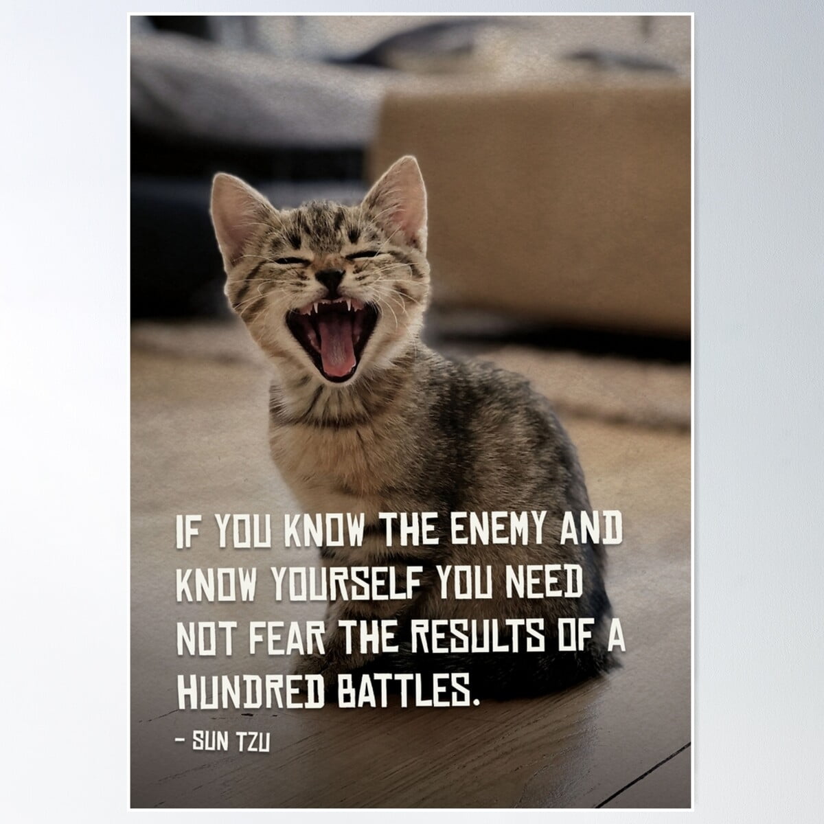 Sun Tzu Cat Motivational Poster A2 Poster Wall Art, Modern Wall Decor ...