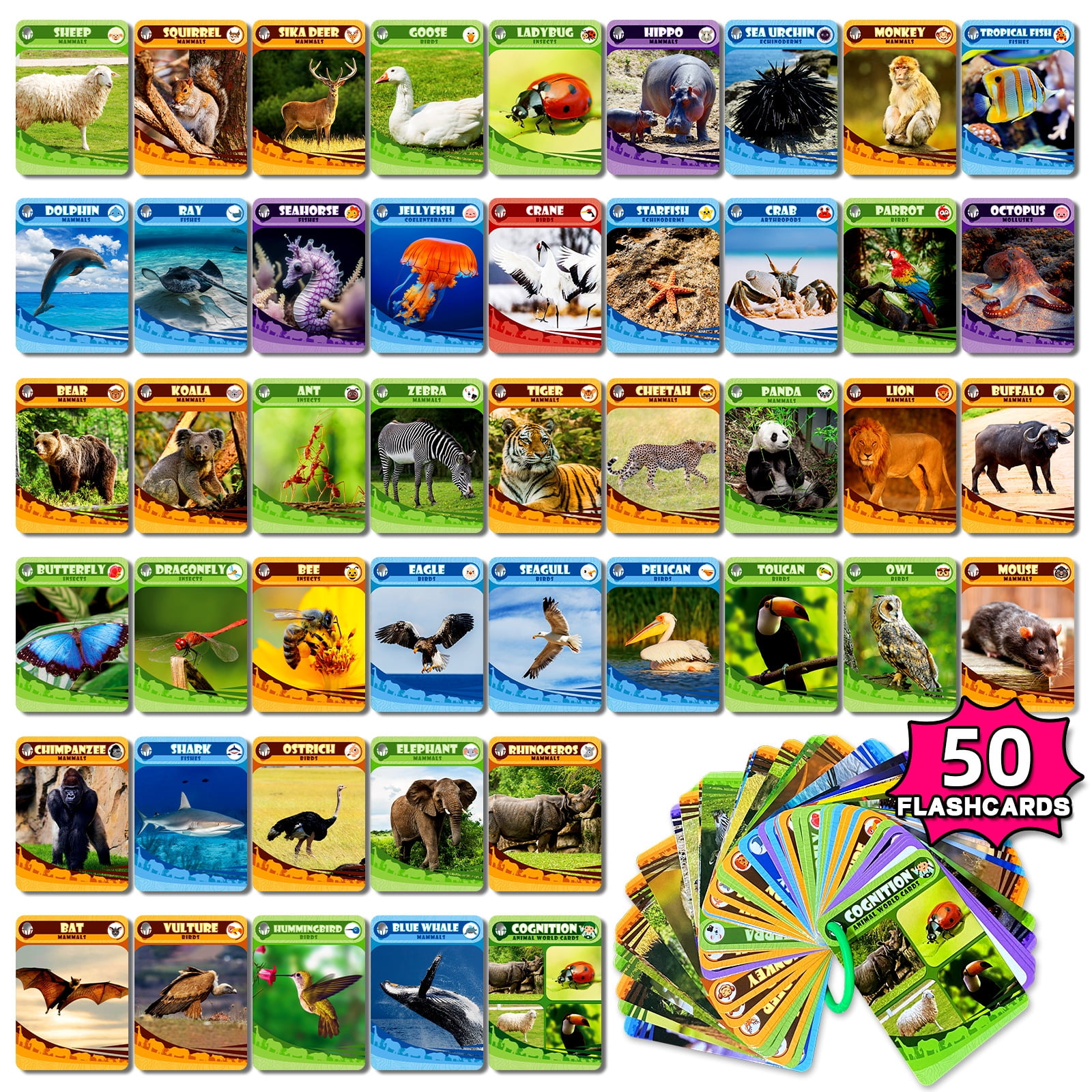 SunWMart 50PCS Animals Flashcards Educational Card Game for Kids ...