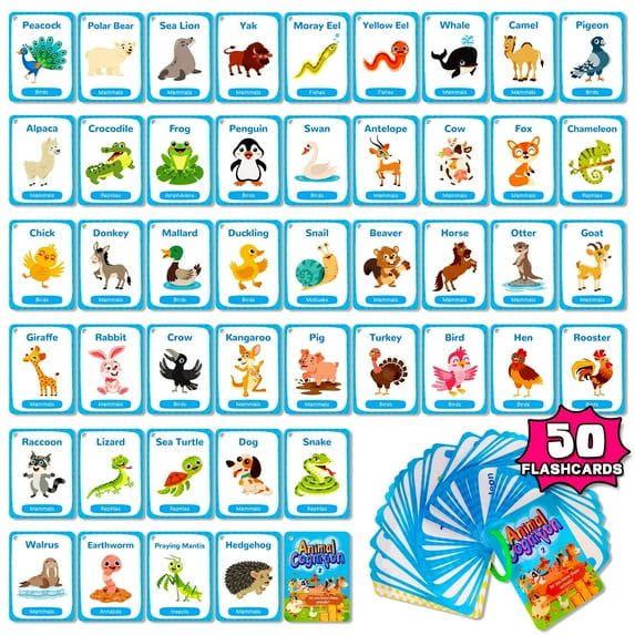 SunWMart 50PCS Real Animal Matching Game Cognitive Cards, Educational ...