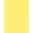 SunWorks, PAC8417, Construction Paper, 50 / Pack, Yellow - Walmart.com