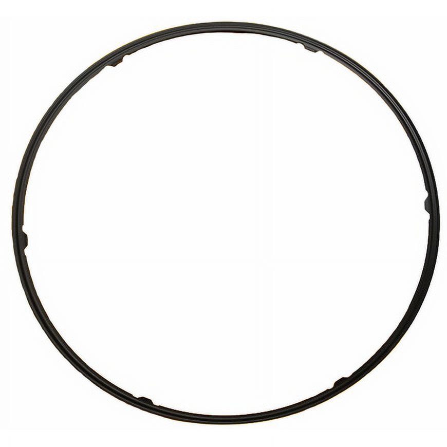 Sunair DPF-G15 Diesel Particulate Filter Gasket - Walmart.com