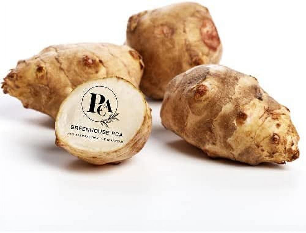 Sunchokes by Greenhouse PCA - 2.5 lbs Jerusalem Artichoke Bulbs for ...