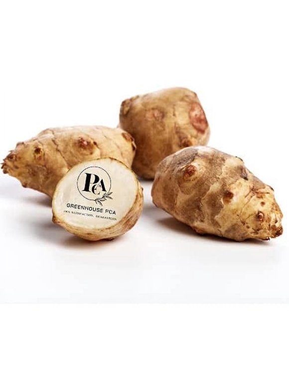 Plant Bulbs in Live Plants - Walmart.com