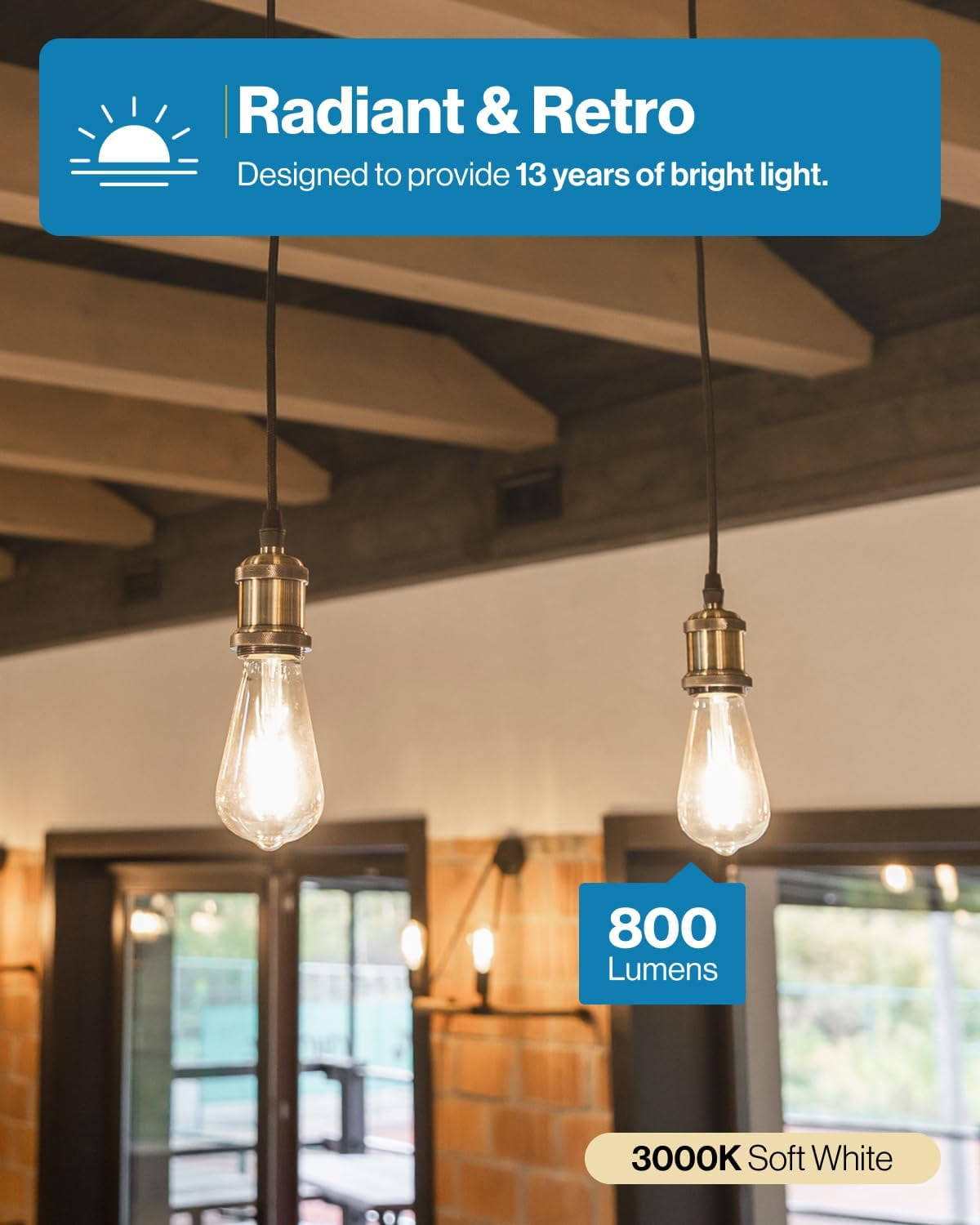 Sunco 16 Pack Edison Bulbs ST64, Clear Vintage Filament Waterproof Bulb ...