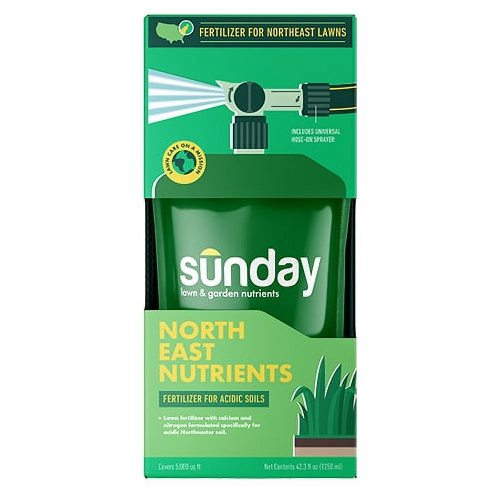 Sunday Merchandise - Walmart.com