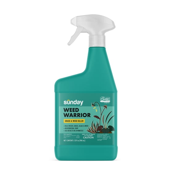 Sunday Weed Warrior Non-Selective Herbicide Spot Treatment, 32 oz ...