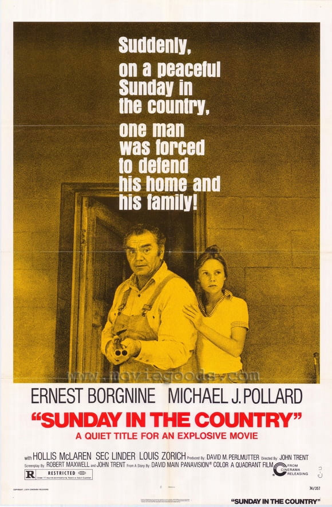 Sunday in the Country POSTER (27x40) (1974) (Style C) - Walmart.com