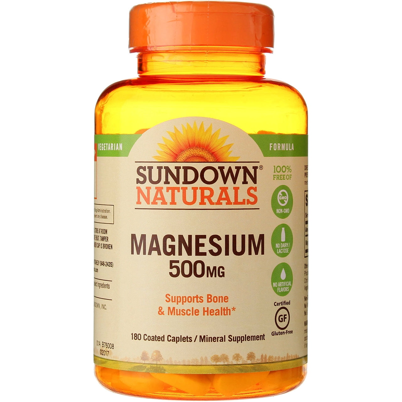 Sundown Naturals Magnesium 500 mg Caplets, Muscle and Bone Health, 720 ...