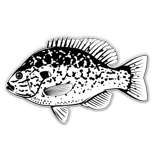 Sunfish - 5" Vinyl Sticker - For Car Laptop I-Pad - Waterproof Decal ...
