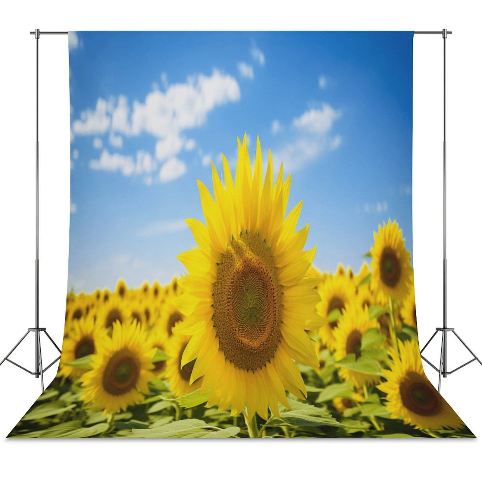 Sunflower Backdrops for Photography for Party Backdrop Wedding Backdrop ...