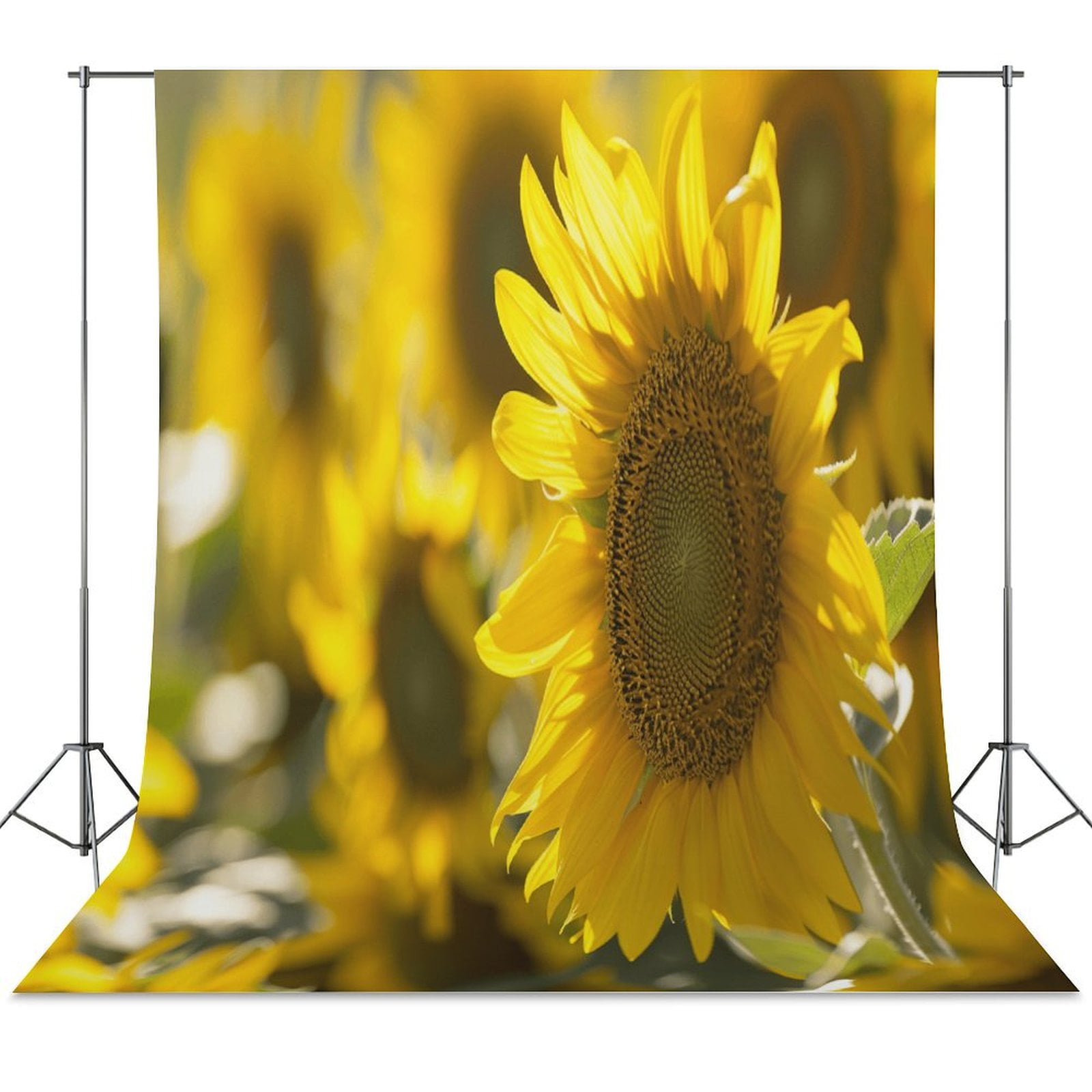 Sunflower Backdrops for Photography for Party Backdrop Wedding Backdrop ...