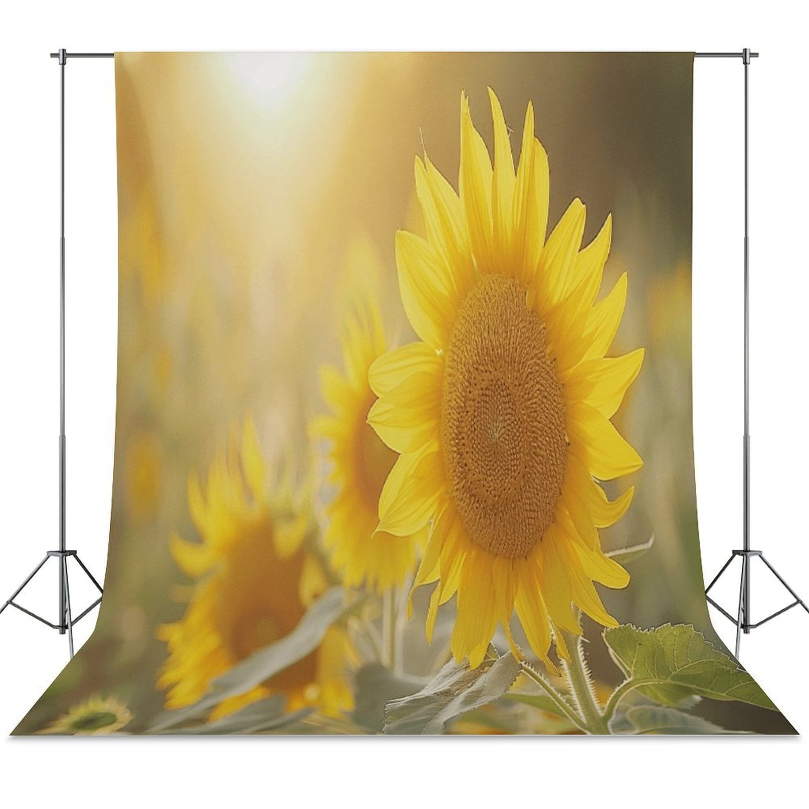 Sunflower Backdrops for Photography for Party Backdrop Wedding Backdrop ...