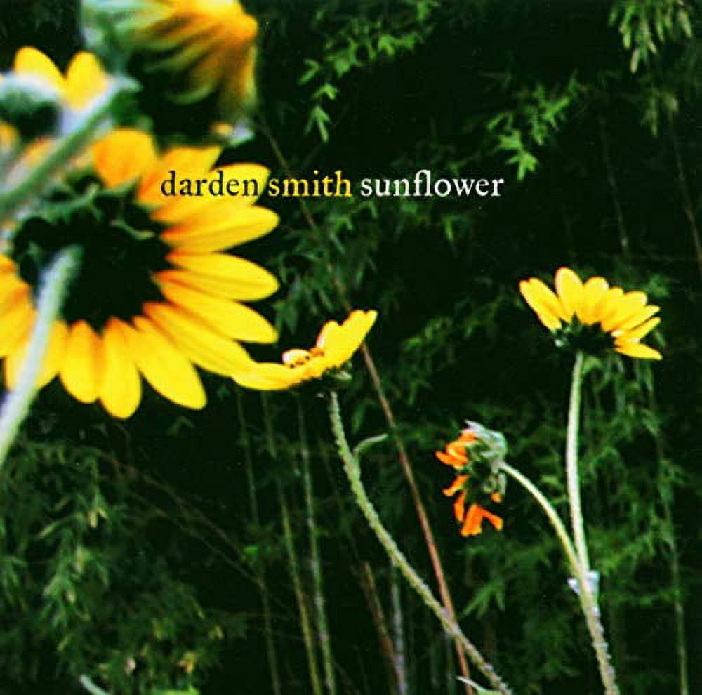 Sunflower (CD) by Darden Smith - Walmart.com