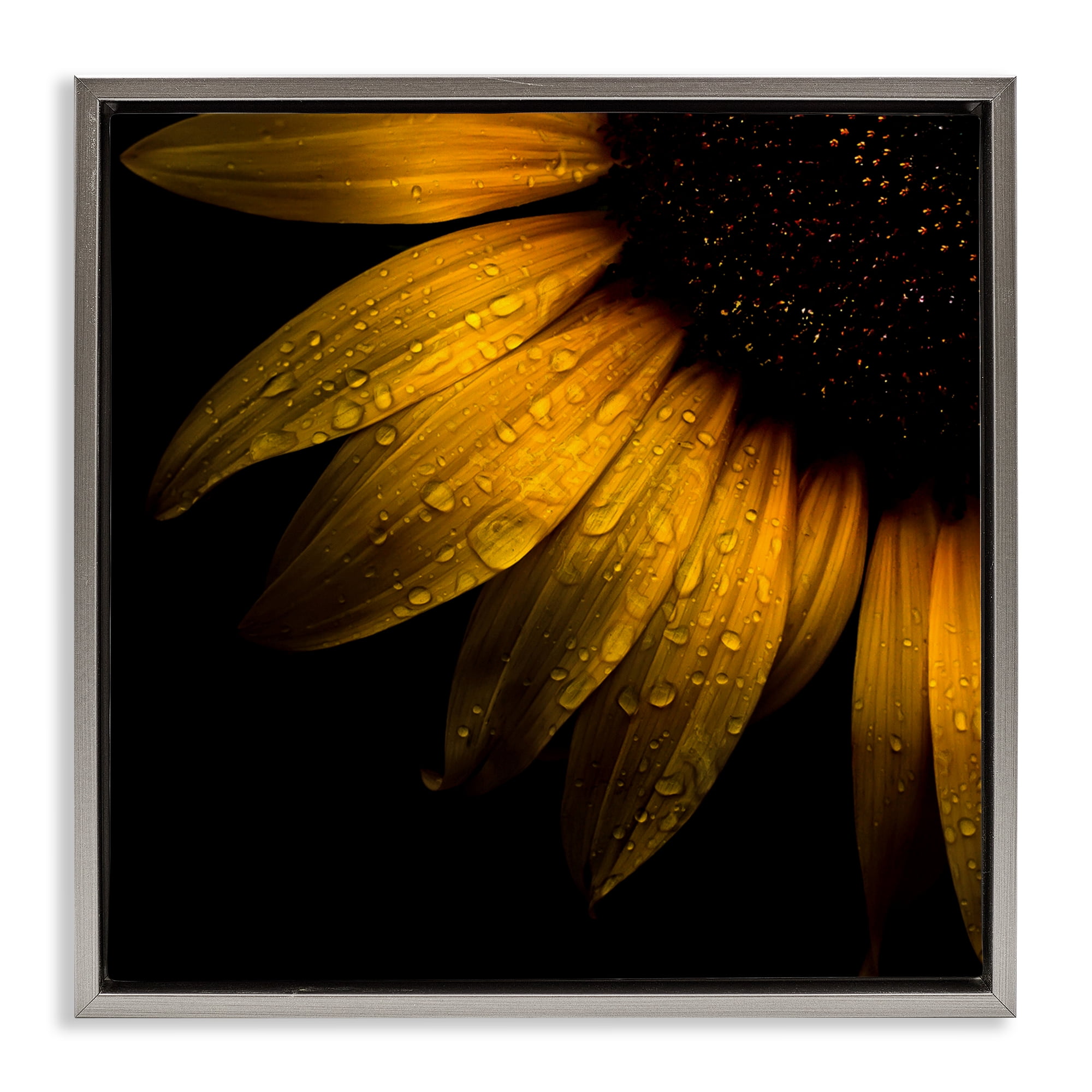 Sunflower Detail with Droplets Gray Framed Floater Canvas Wall Art ...