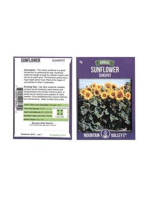 Sunflower Flower Seeds in Seed Gardening - Walmart.com