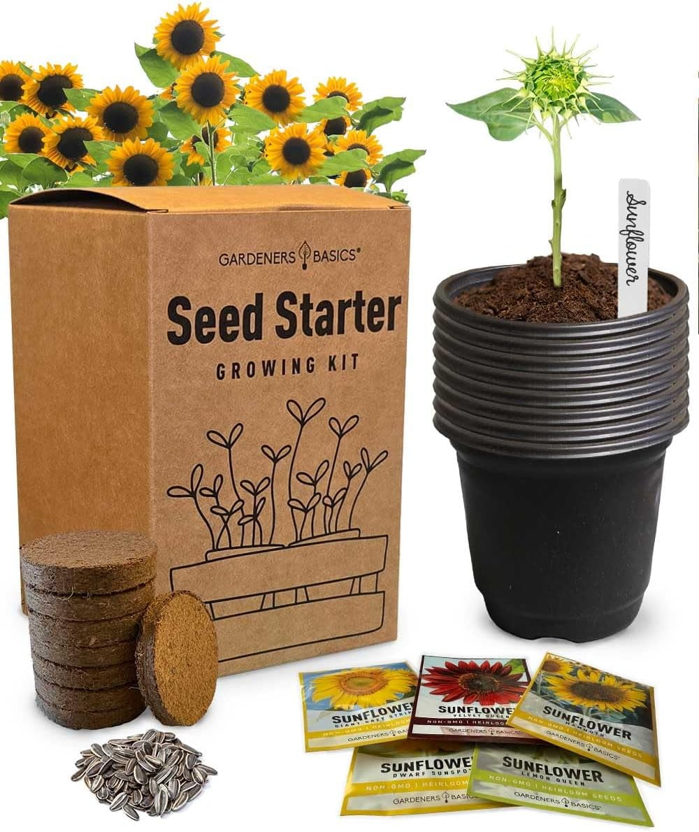 Sunflower Growing Kit – 5 Giant & Colorful Sunflowers Gifts for Women ...