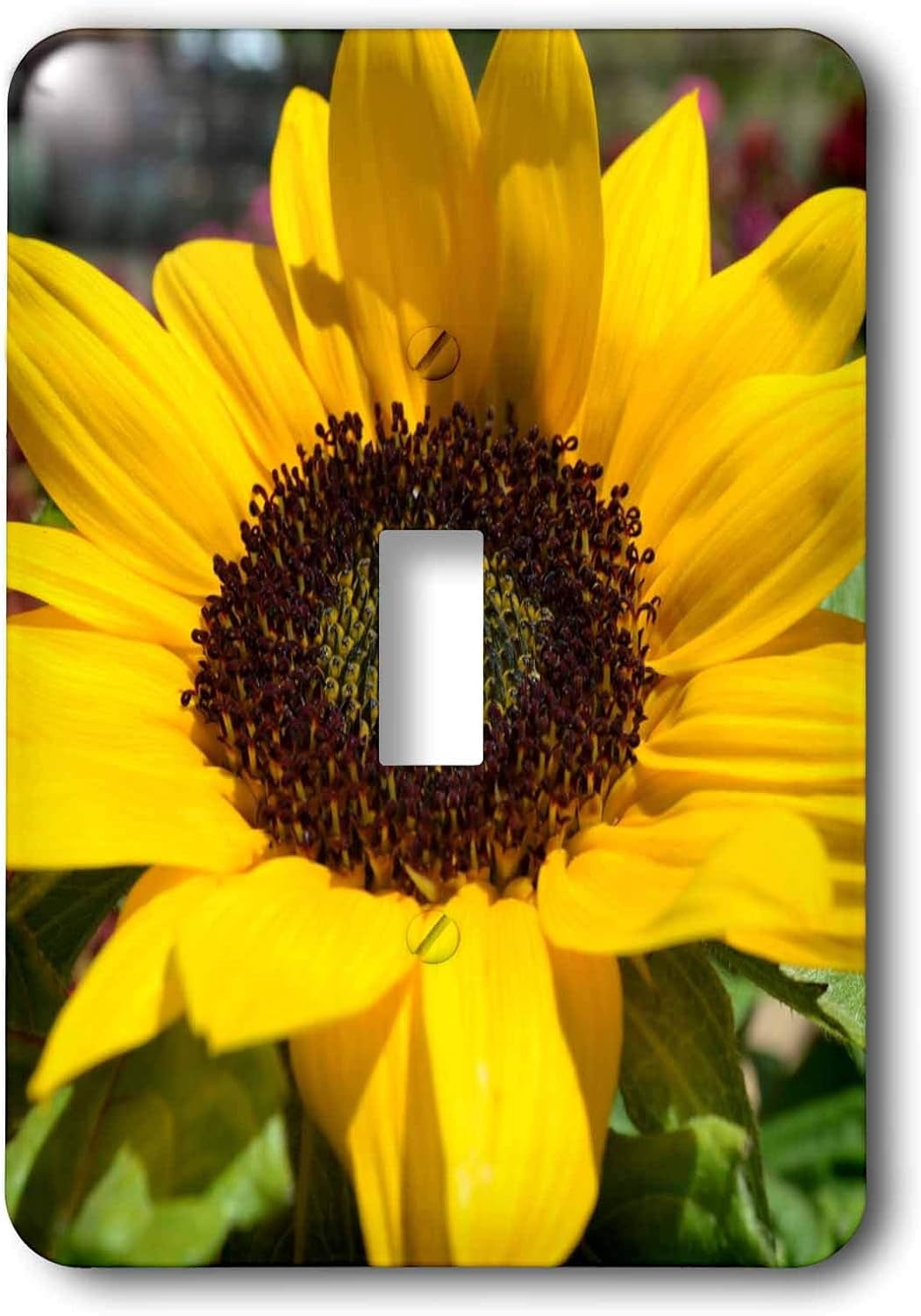 Sunflower Ii Single Toggle Switch - Walmart.com