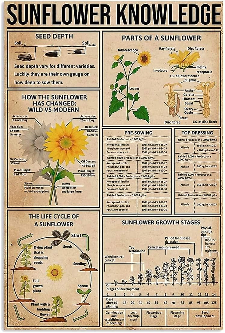 Sunflower Knowledge Metal Signs Room Decor Gardening And Planting Science Retro Posters Garden ...